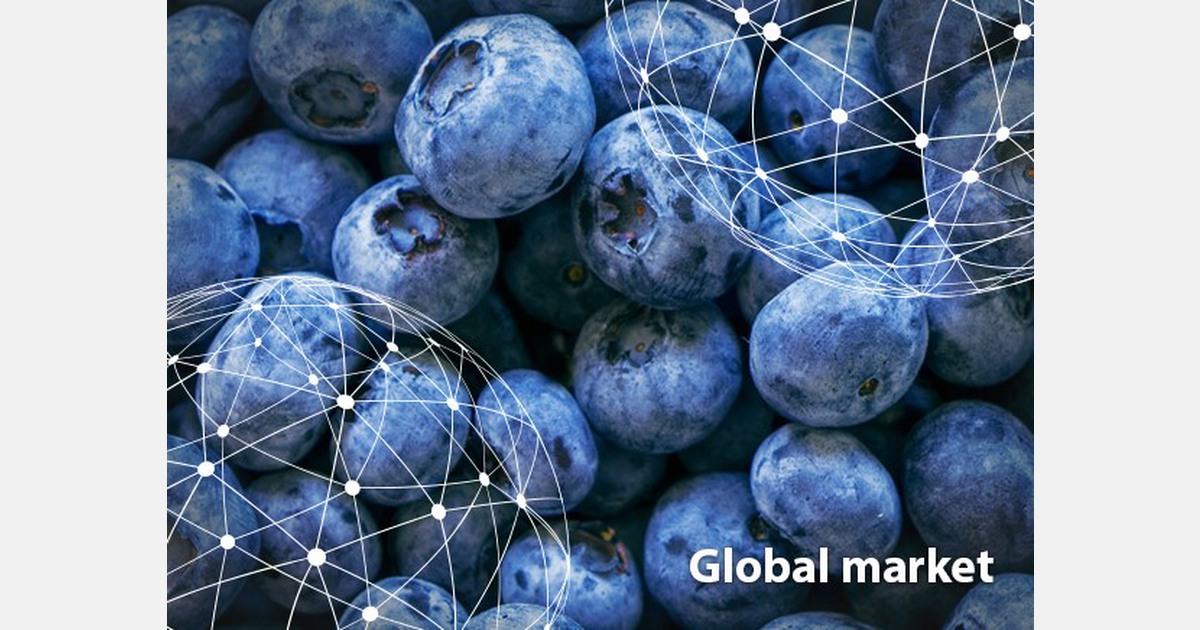 OVERVIEW GLOBAL BLUEBERRY MARKET