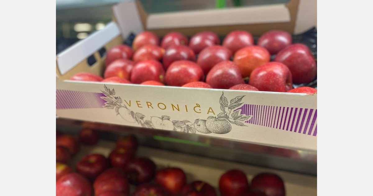 “2021 was a good year for Polish apples”