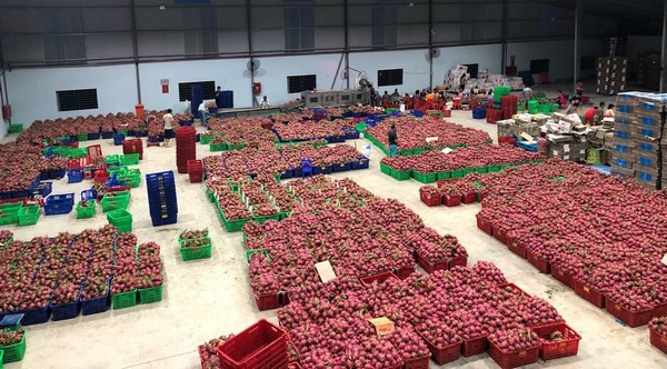 red dragon logistics