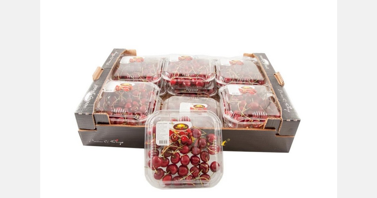 “Weather has been perfect for Turkish cherries in recent months”