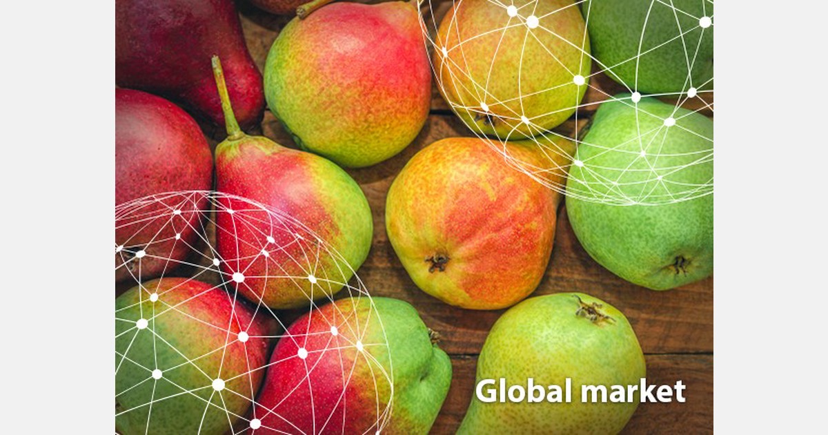 OVERVIEW GLOBAL PEAR MARKET