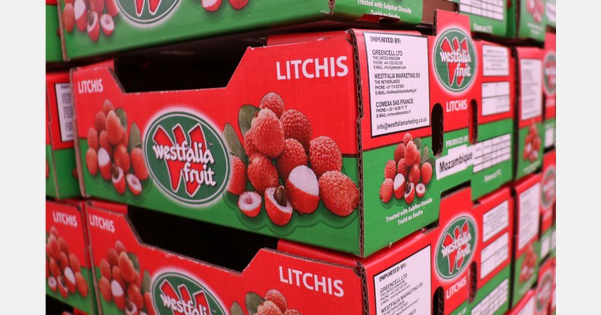 Westfalia’s Mozambican litchi programme brings the sweet taste of success