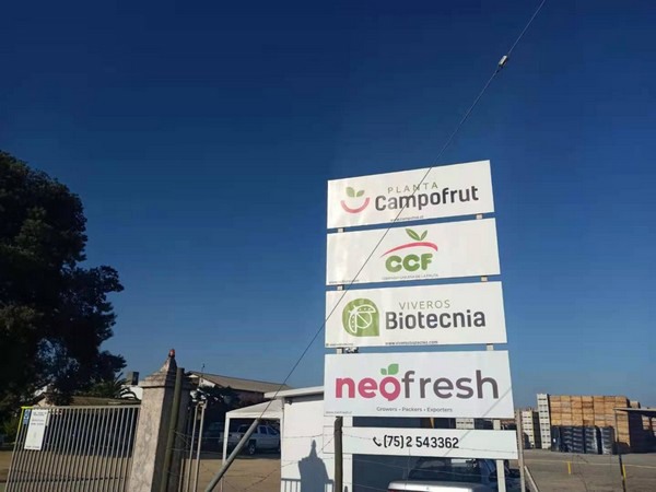 Reemoon officially installs its first kiwifruit sorting line in South ...