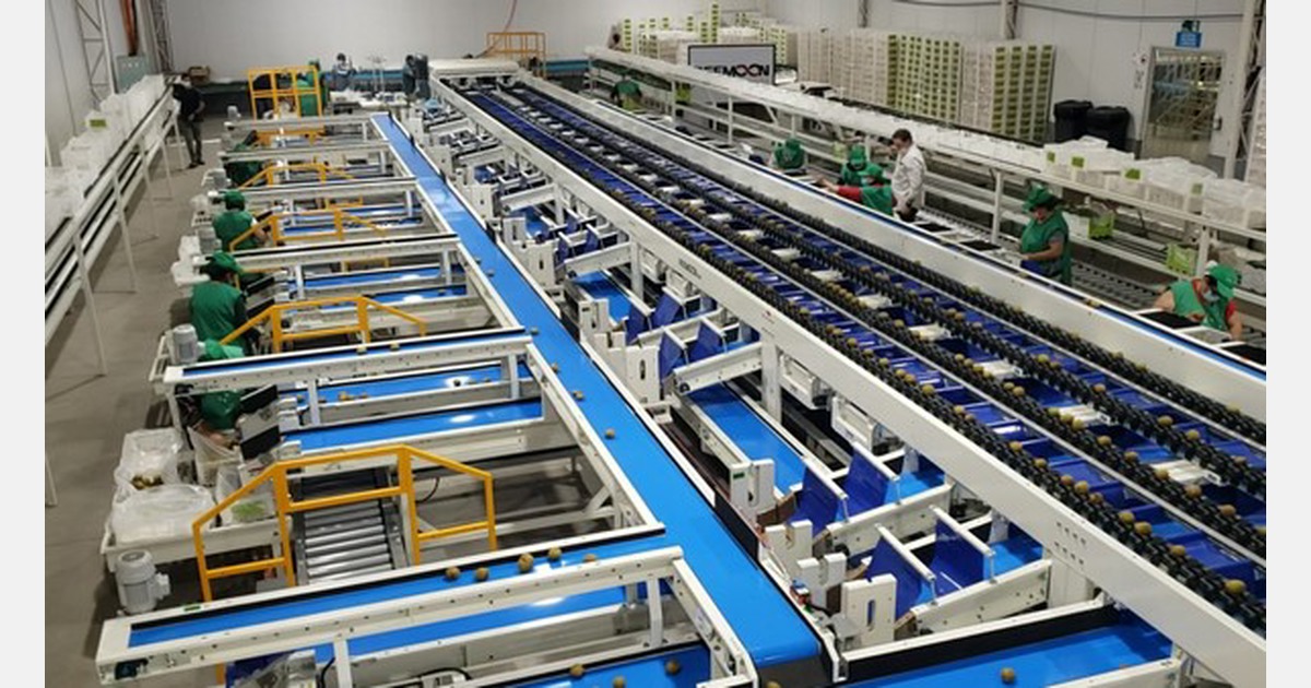 Reemoon officially installs its first kiwifruit sorting line in South ...