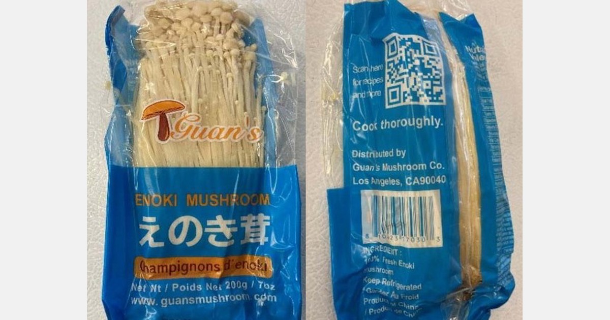 how to cook guans mushrooms