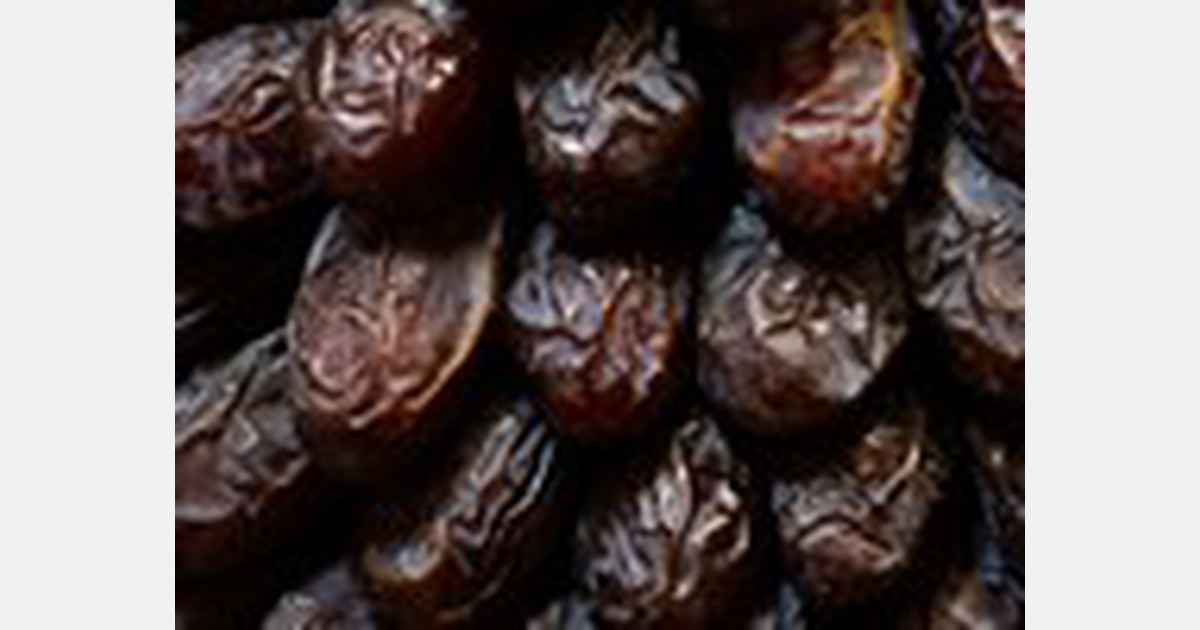 Namibia: Massive production increase at ZZ2’s date orchards