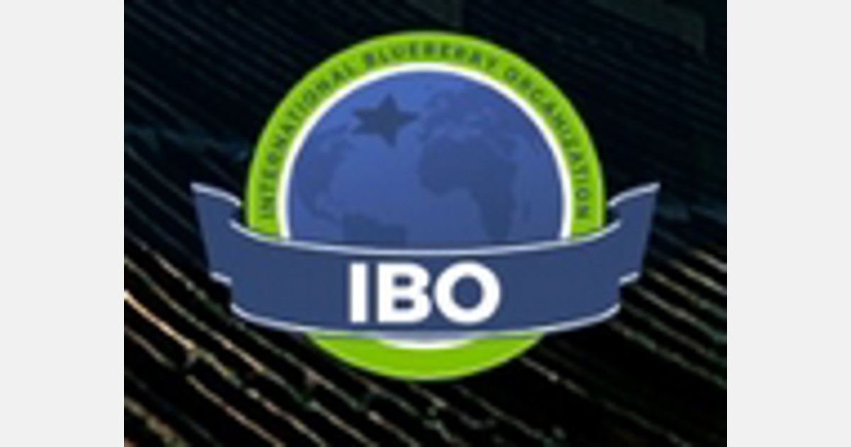 IBO Summit 2021 takes place from August 23rd to 25th
