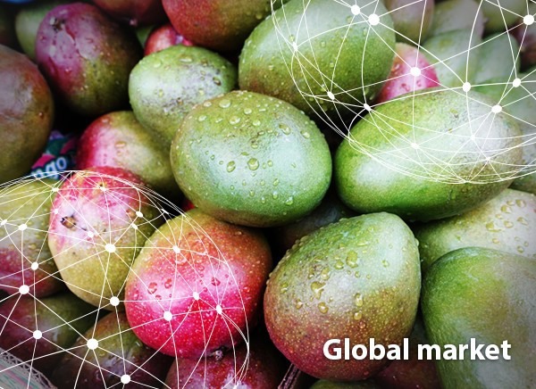 GLOBAL OVERVIEW MANGOES