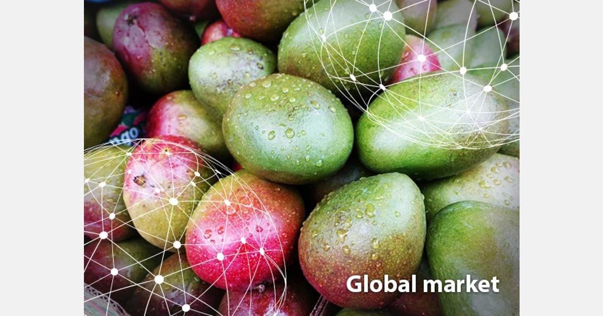 GLOBAL OVERVIEW MANGOES