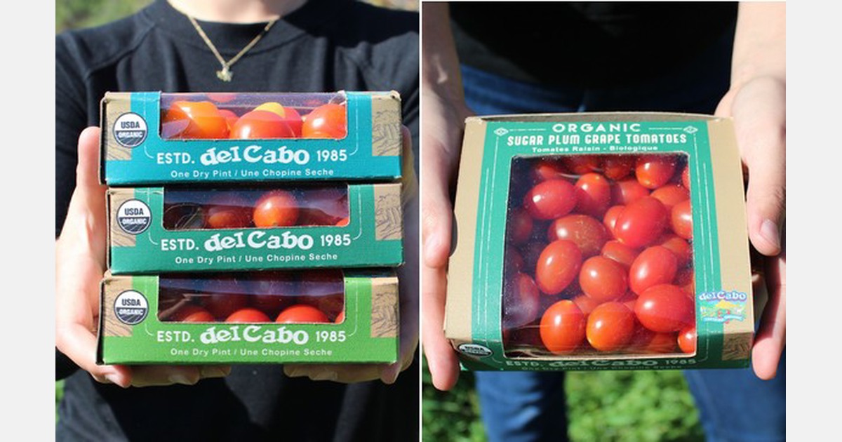 New paper clamshell for tomatoes introduced