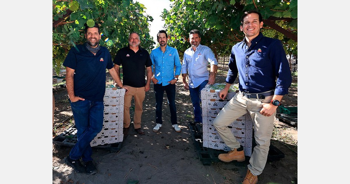 Mexican grower kicks off 15th Sonoran table grape season