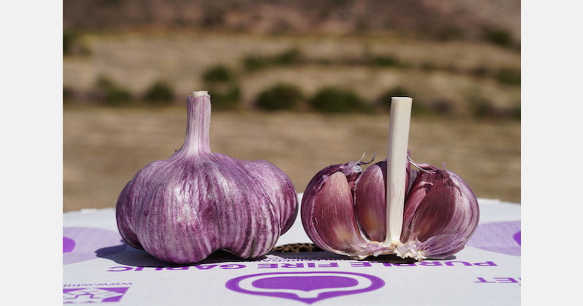 Strong demand on Peruvian garlic for 2021
