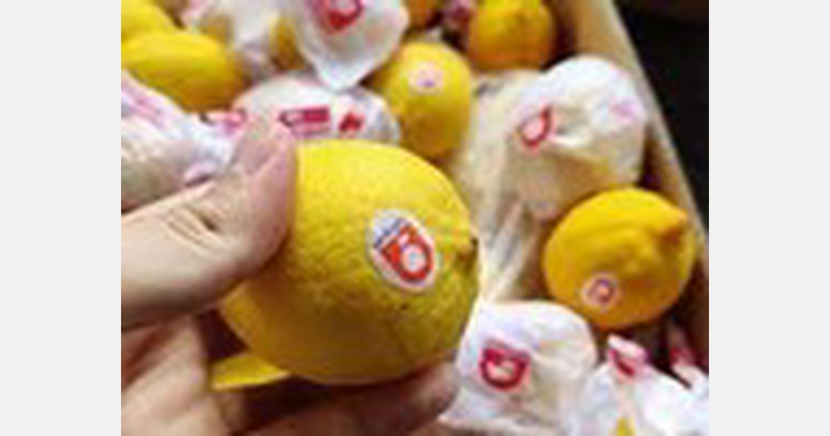 Unifrutti Lemons: Segmented demand met all year round