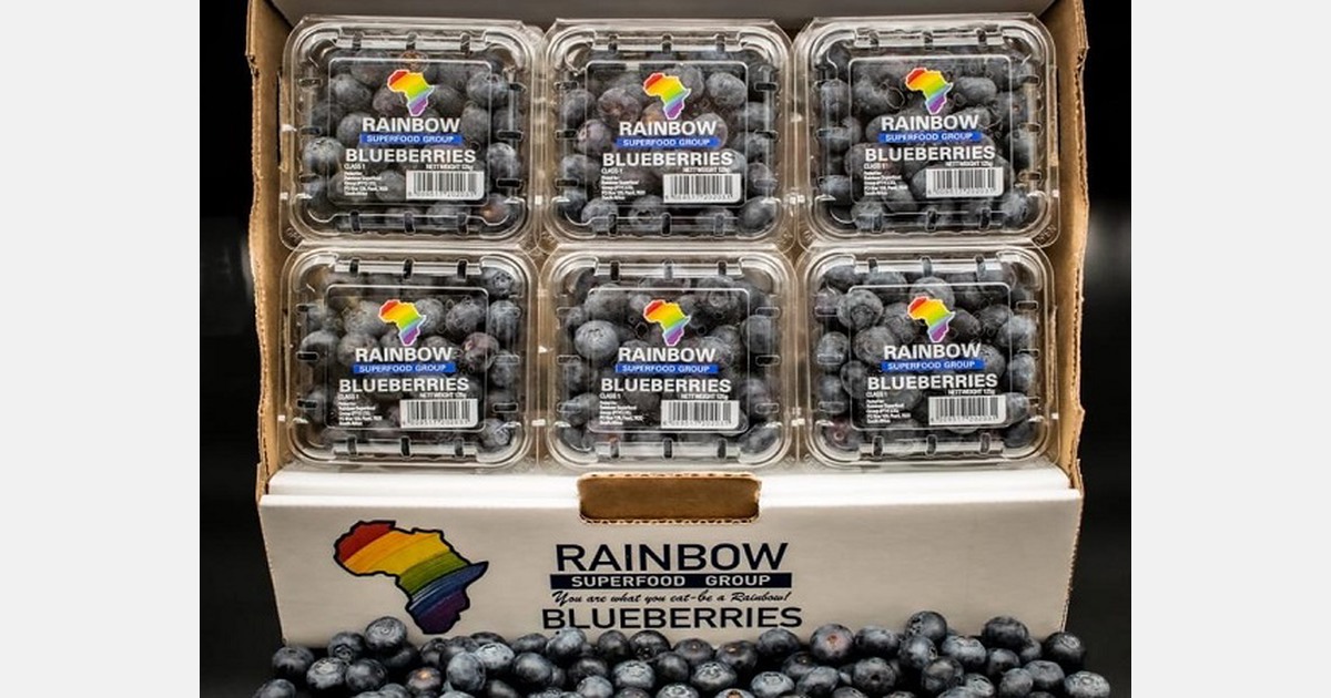 South African blueberries: “We've seen firsthand we do much better when ...