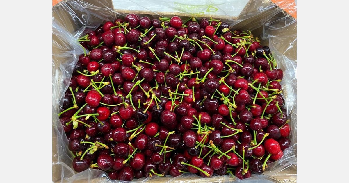 “Turkish Cherries are on the way to Europe”
