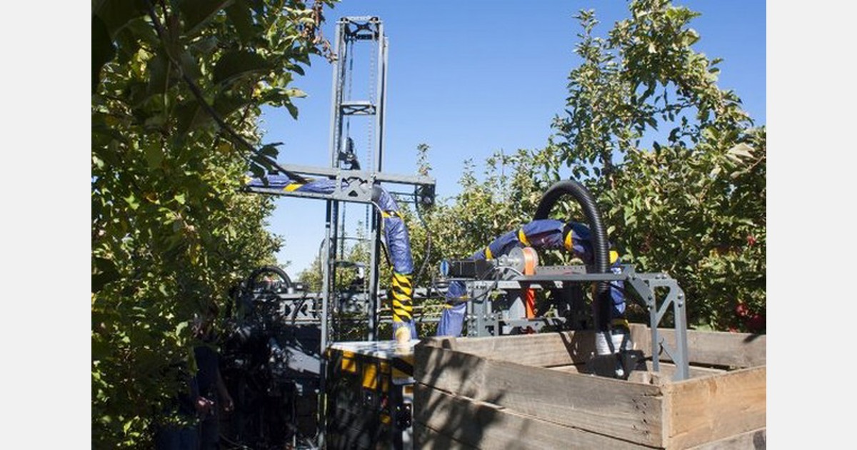 Ripe Robotics trials fruit picking robot Eve