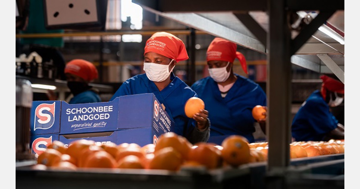 Collaboration and trust: how to pack and process a million cartons of ...