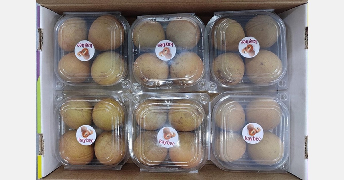 “Chikoo is an ideal fruit for export to European countries”