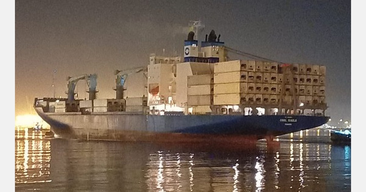 The importance of conventional reefer ships for the South African fruit ...