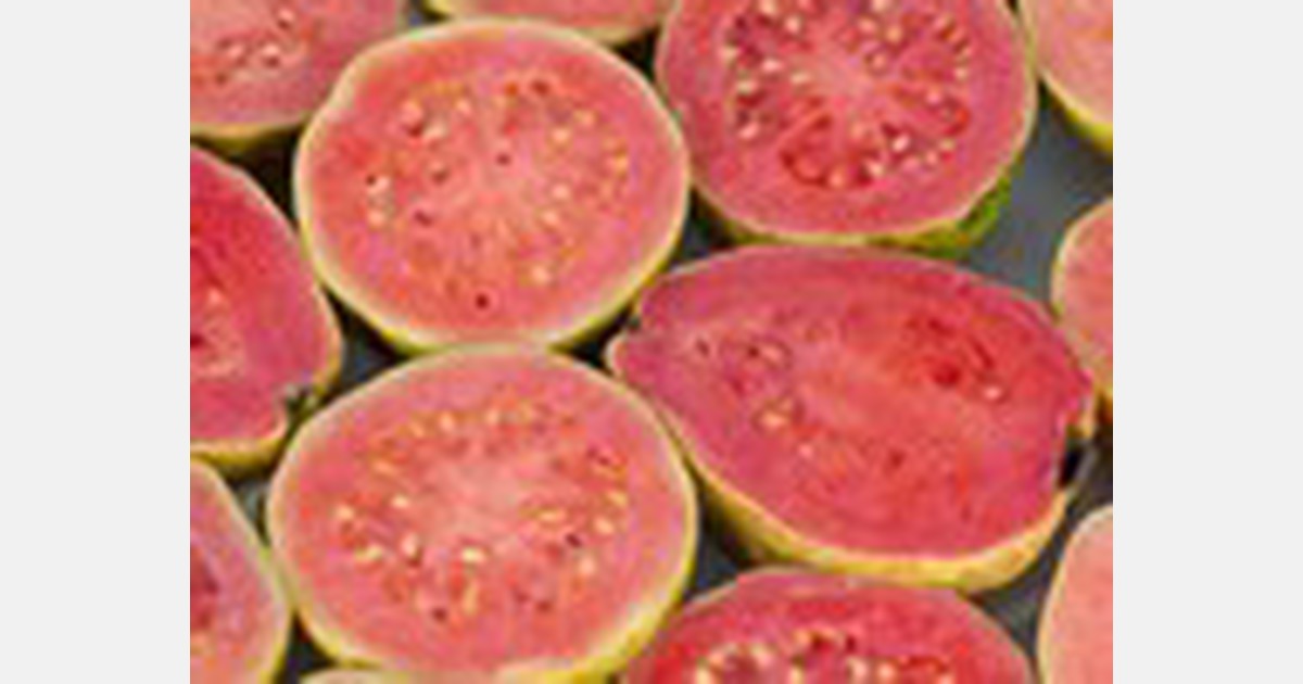 ‘South African guavas need more lucrative markets‘