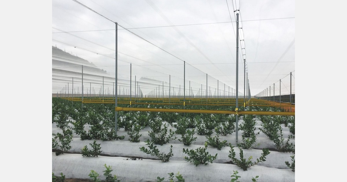 Tropical and sub-tropical climates, Arrigoni proposes the Net House ...