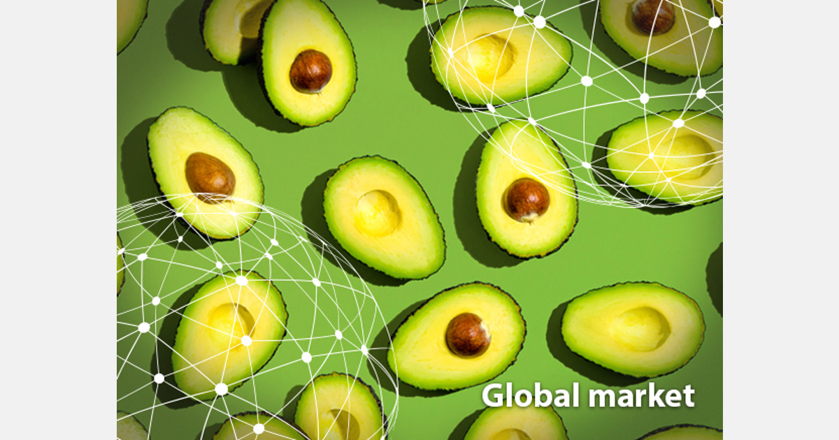GLOBAL OVERVIEW AVOCADOS