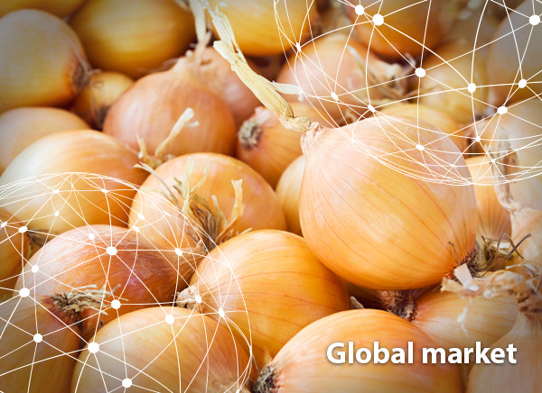 GLOBAL OVERVIEW ONIONS