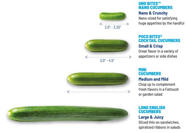 Uno Bites are back-to-school ready