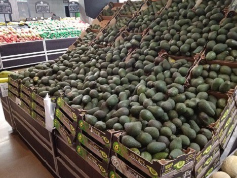 Fuerte price thumps Hass on South African avo market