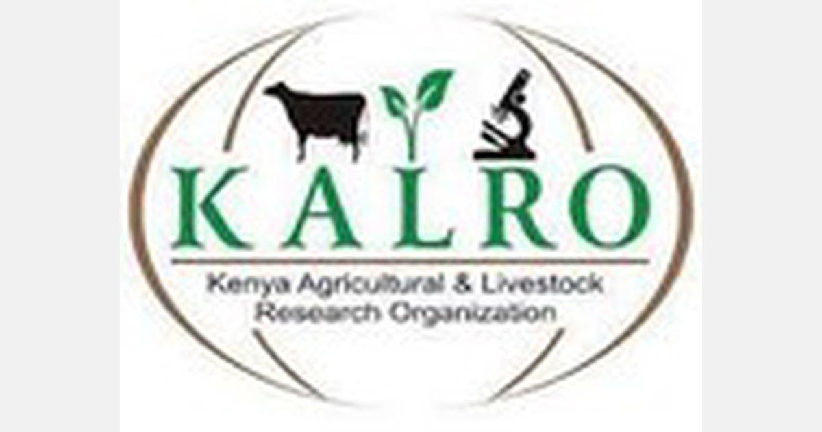 KALRO focuses on high-quality potato seed to boost production