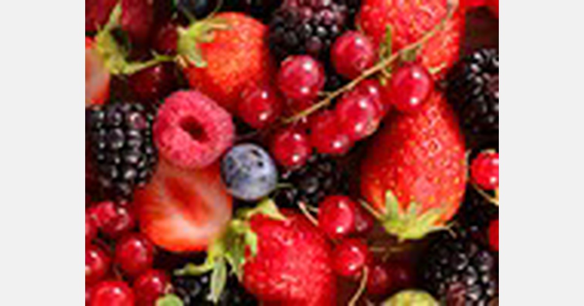 Caribbean’s largest fresh berry farm will come to Tobago