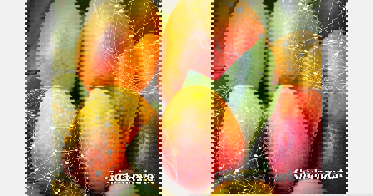 GLOBAL OVERVIEW MANGOES