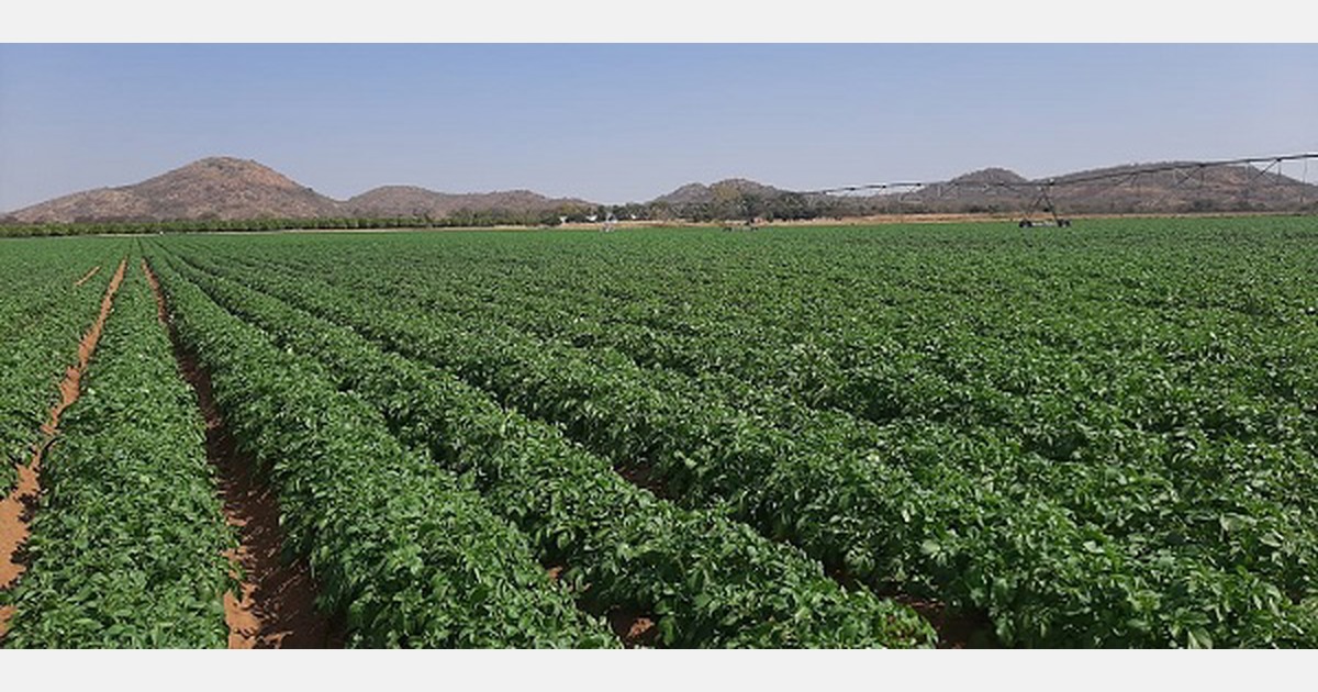 Vaalbos Trust: all hands on deck at high-diversity farm