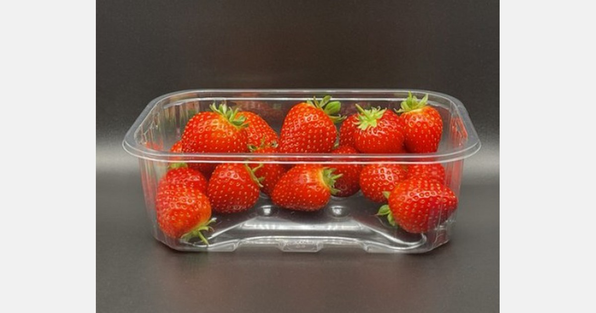 Waddington Europe offers new punnet that's easier to recycle, using ...