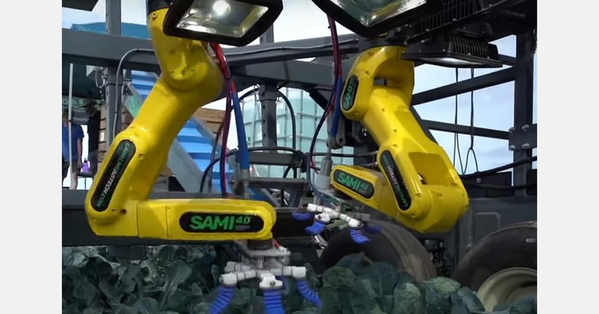 Quebec company wants to commercialize broccoli harvesting robot