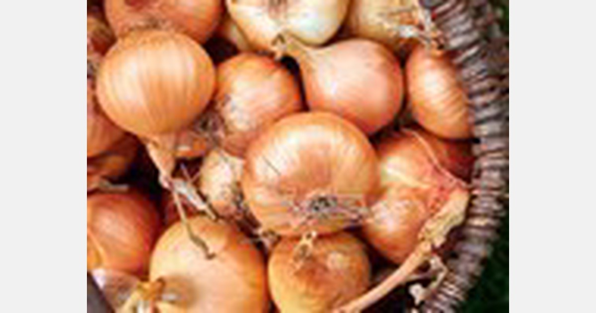 Ron Simon & Associates files nation's first onion salmonella lawsuit