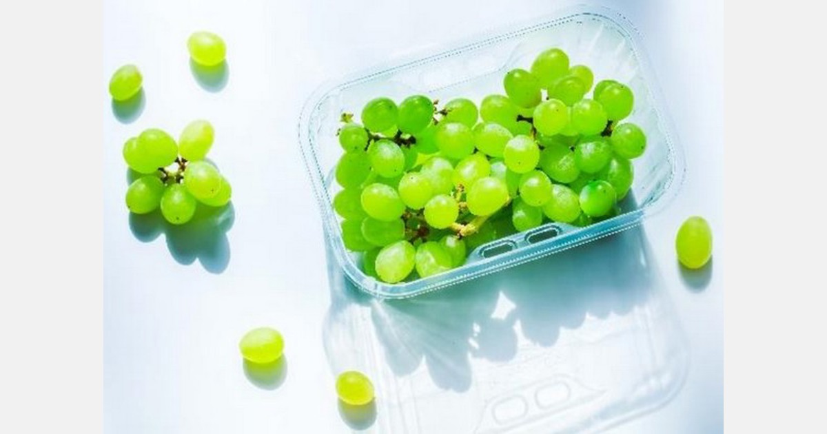 VERIPACK presents MAXIPACK Breeze