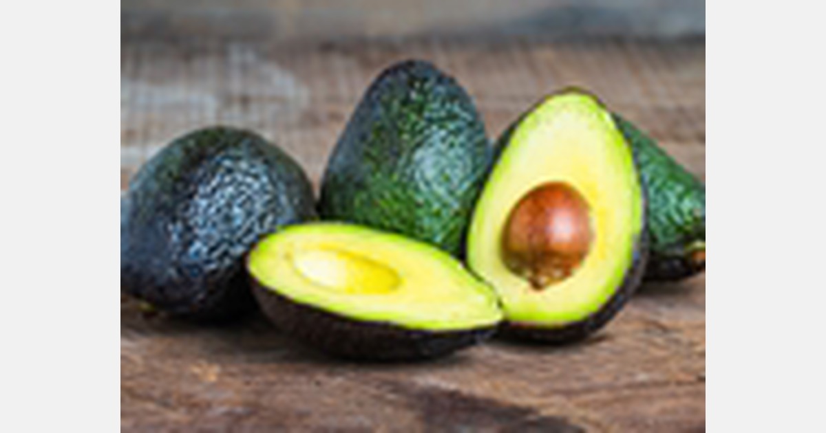 The Latin American showcase of Hass avocado returns