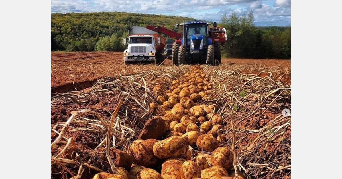 PEI potato growers stunned over border closure