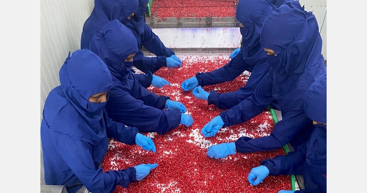 “India and the US have agreed to revive the trade forum after four years”