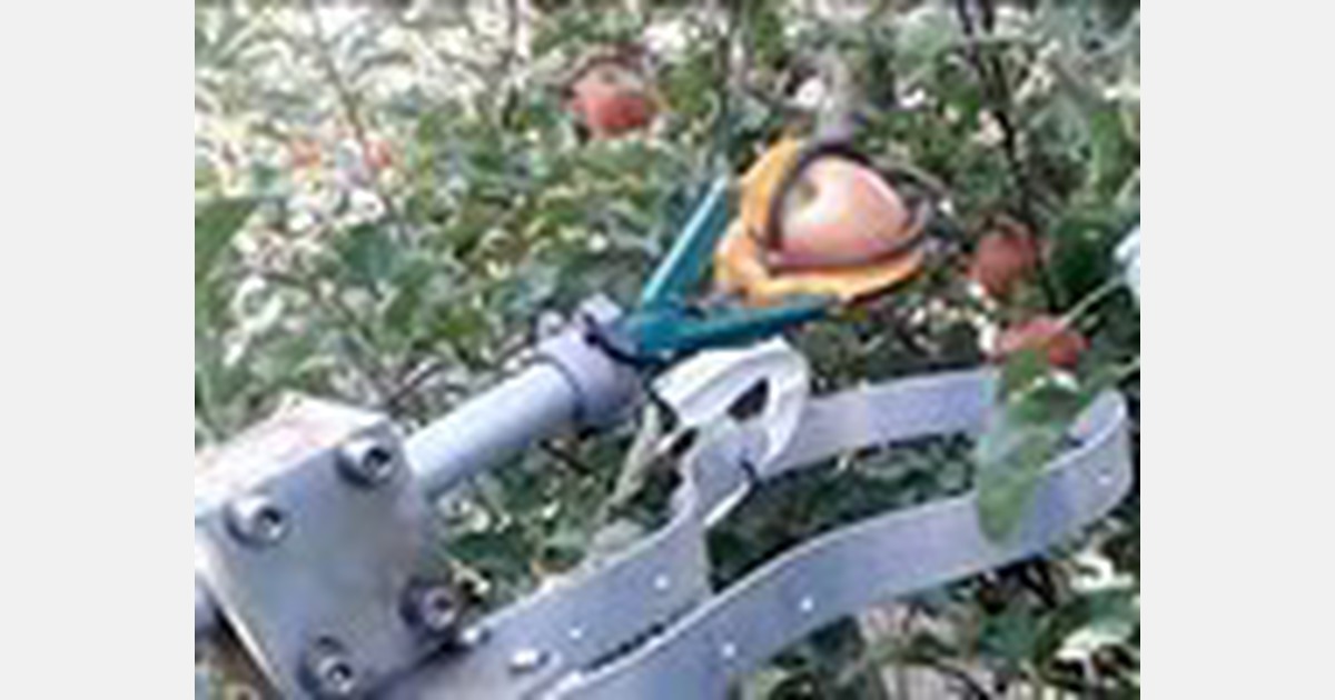 Roadmap launched to expand New Zealand robotics industry