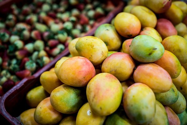 Colombian mango growers-shippers welcome U.S. market opening