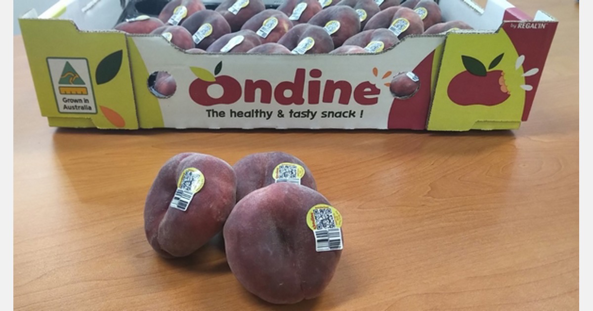 WA Farm Direct and the N&A Group Set to Refresh the Australian ...