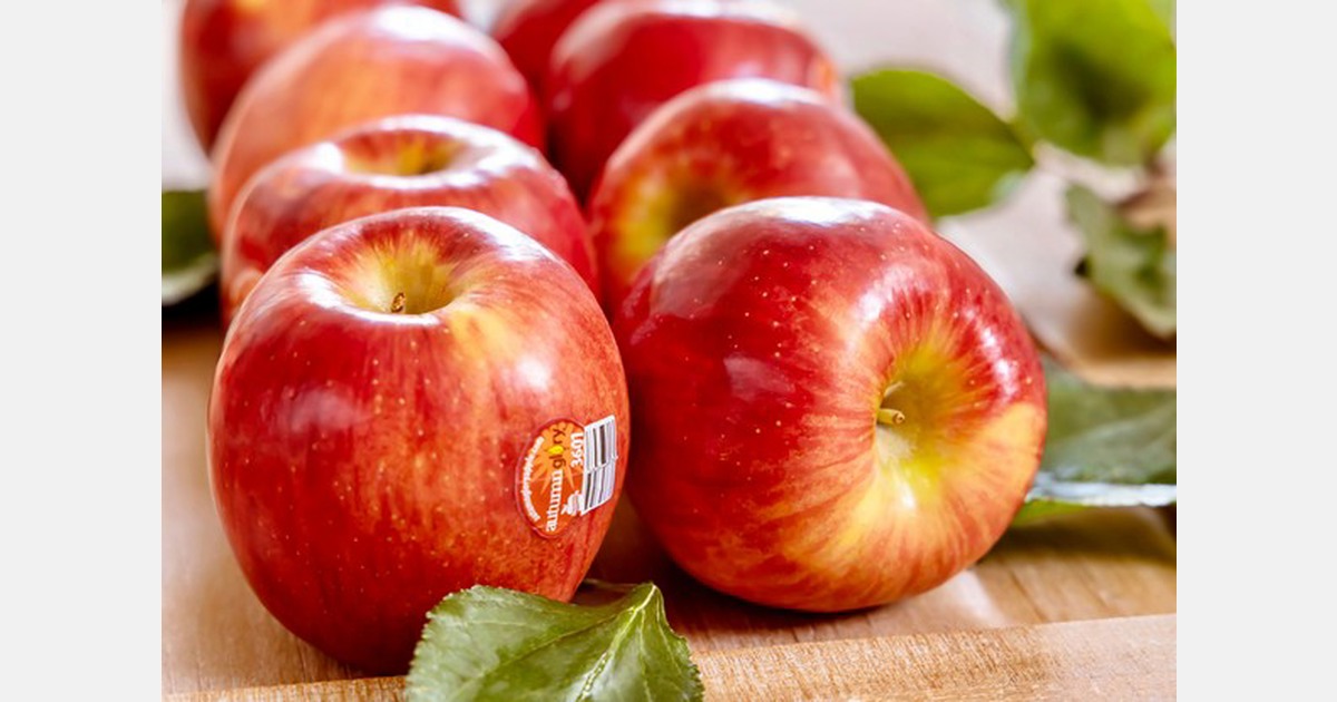 Autumn Glory apples feel the love in winter from consumers
