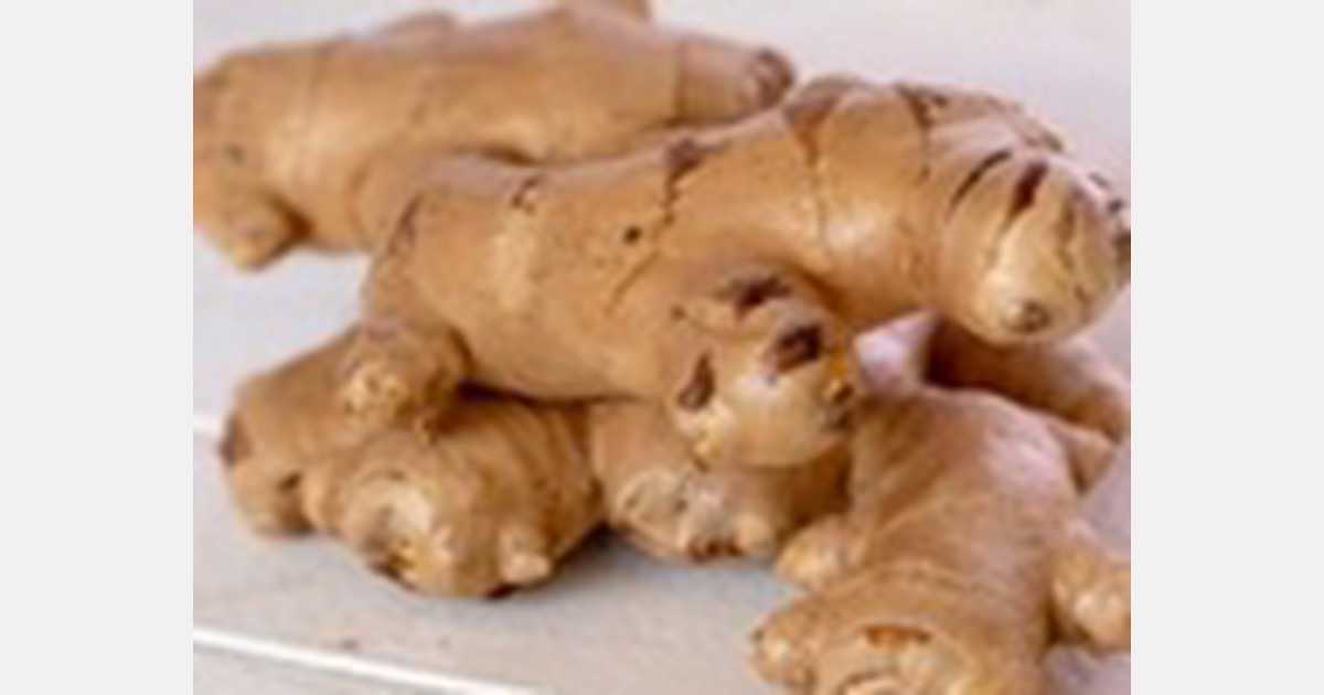 Ginger movement faces logistics issues