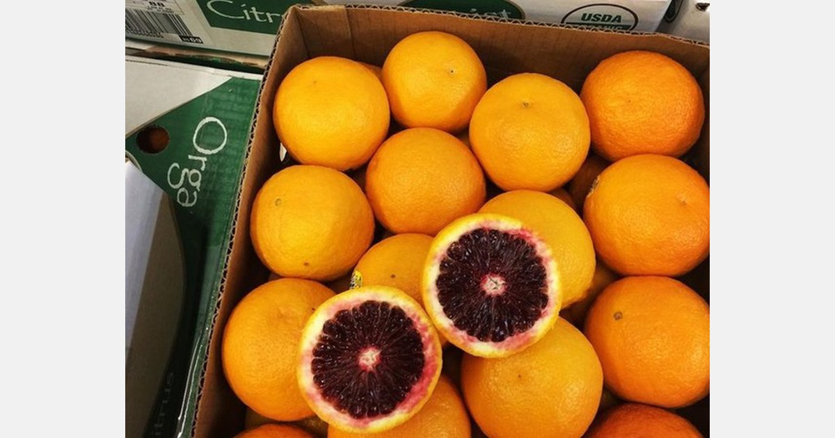 Changes happening in organic citrus movement