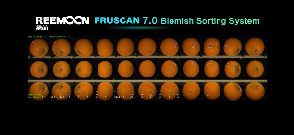 Reemoon introduces a world-first smart system to South African packhouses