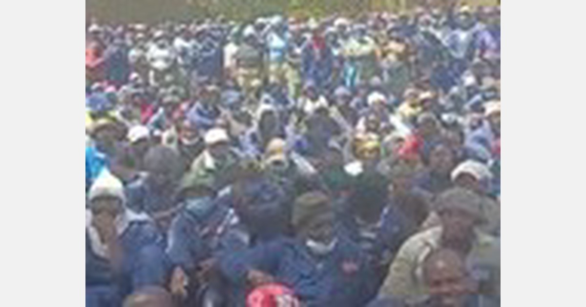 Del Monte Kenya: Workers strike for better conditions