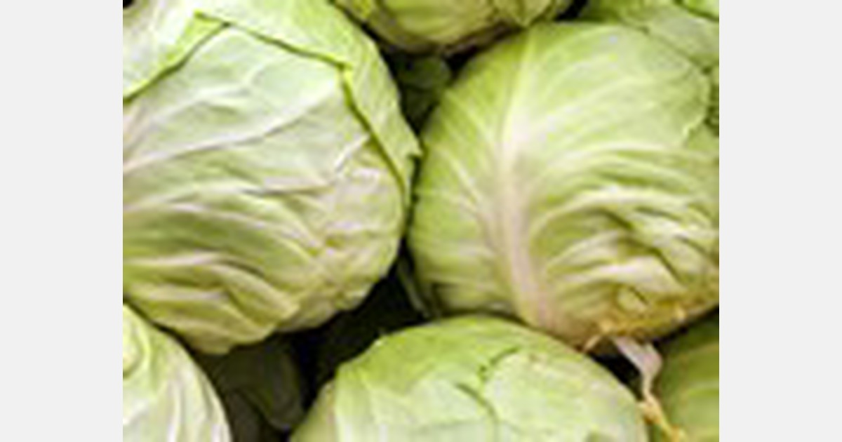 Russia: Cabbage prices break ten-year record