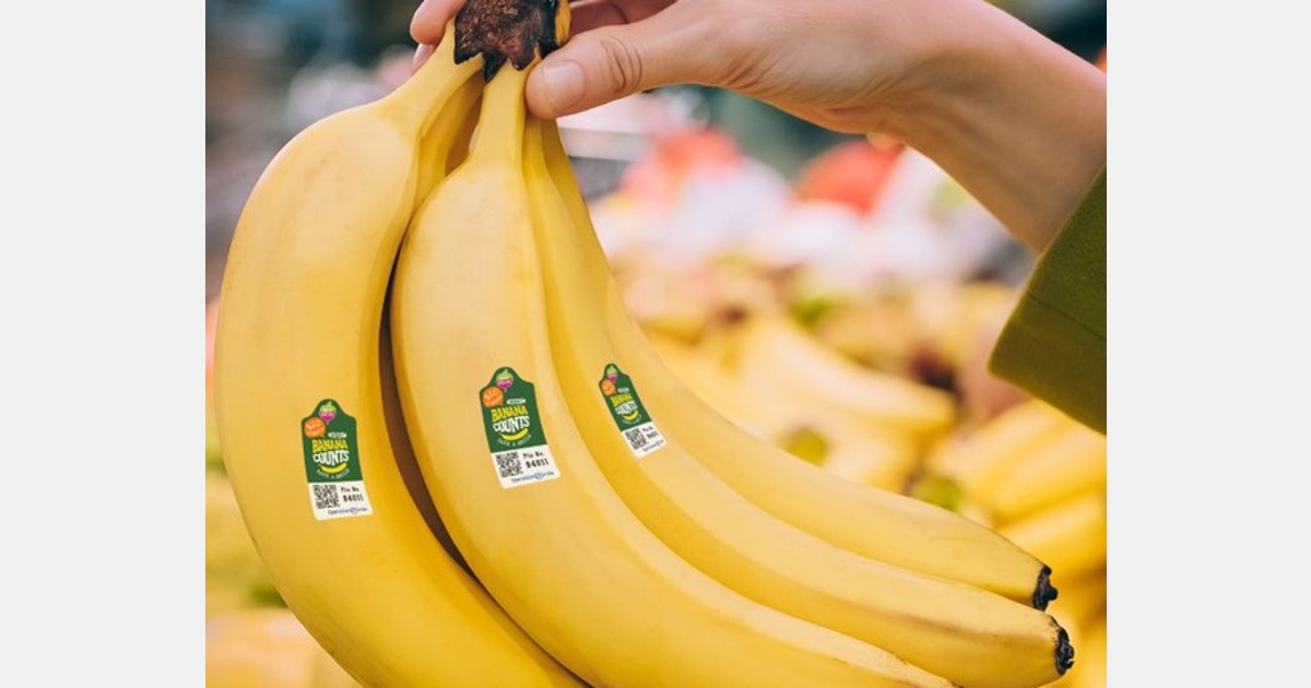 "Having introduced the conventional bananas now in Sweden we are ...